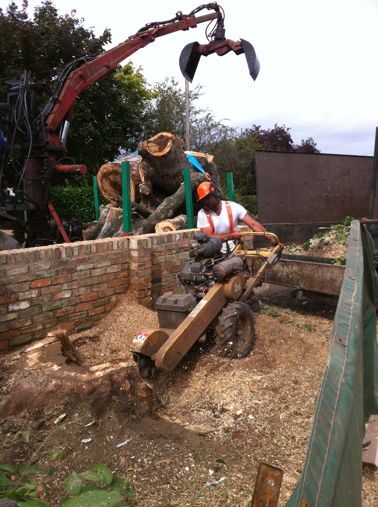 Contact Atlas Tree Surgery